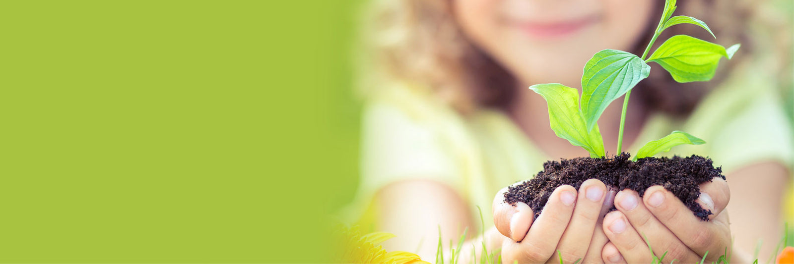 Weco Caribbean | Premium Building Materials from Puerto Rico